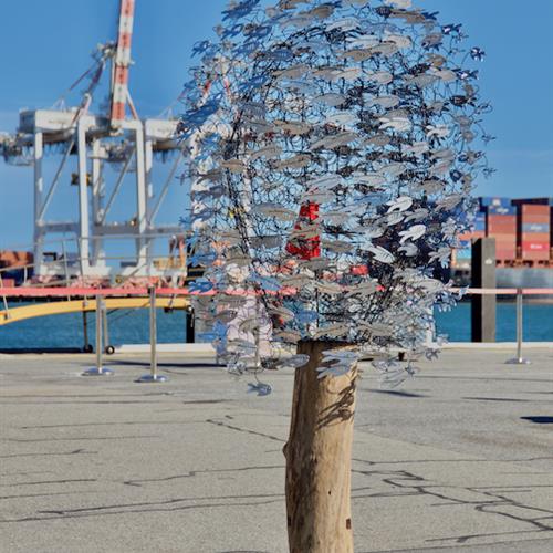 2019 Fremantle Biennale at Victoria Quay