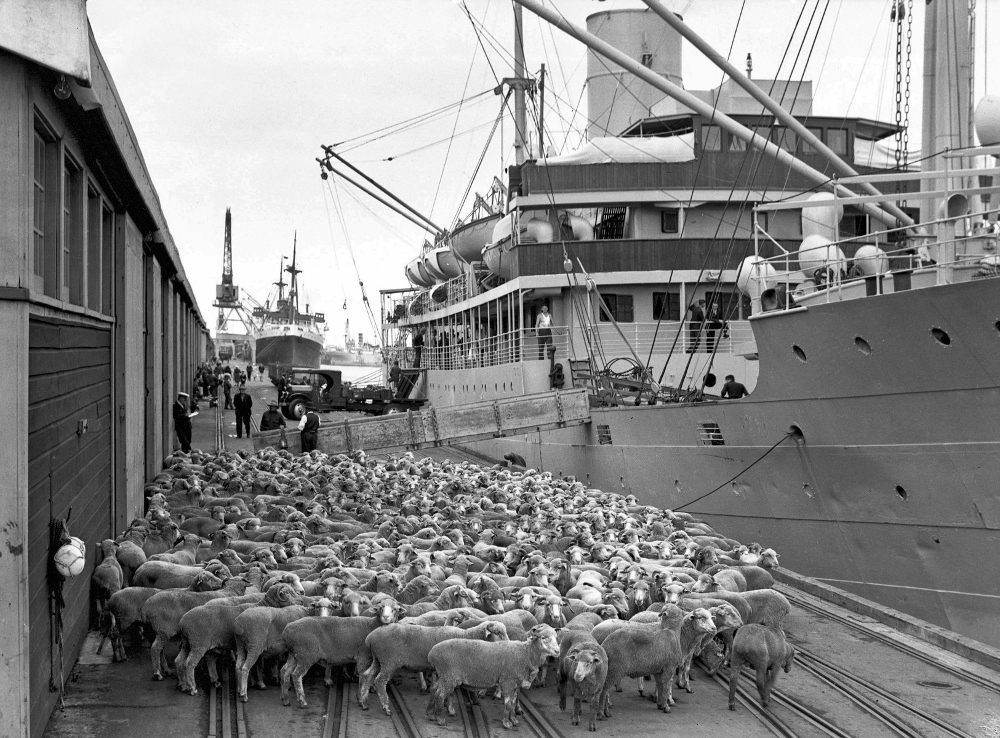 Trade History